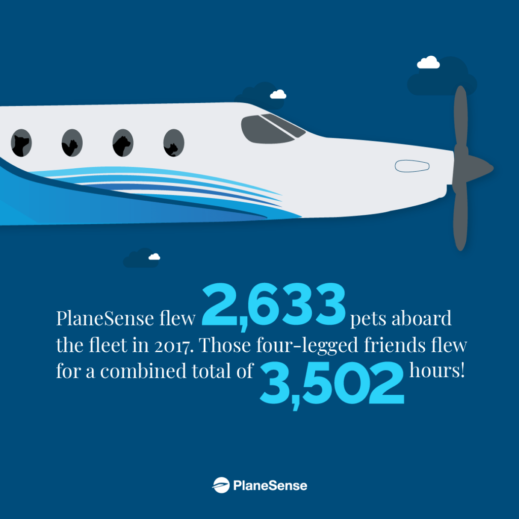 PlaneSense « Portsmouth, NH « Thousands of Pets Flew PlaneSense In 2017